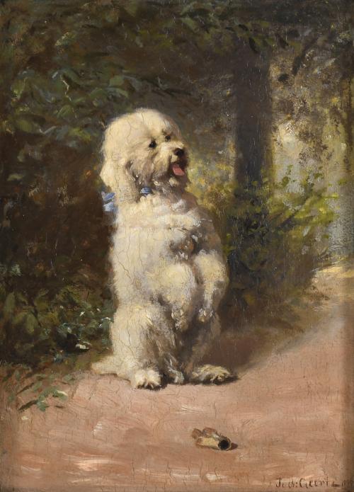 ESCUELA INGLESA, SIGLO XIX., PERRITO BLANCO. 1899., Óleo sobre tabla.